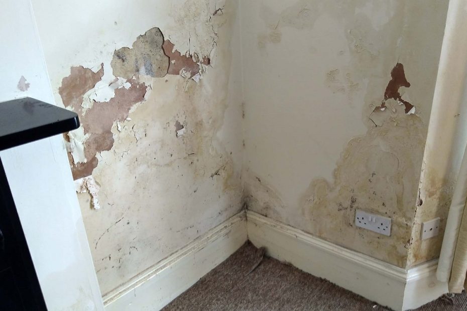 5 Cara Mengatasi Tembok Lembab – TDSPAINT